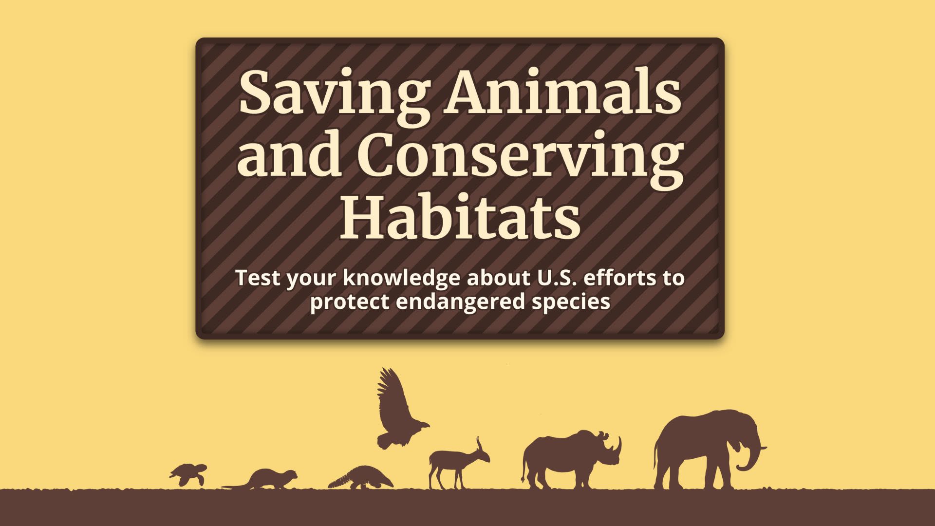Saving Animals and Conserving Habitats